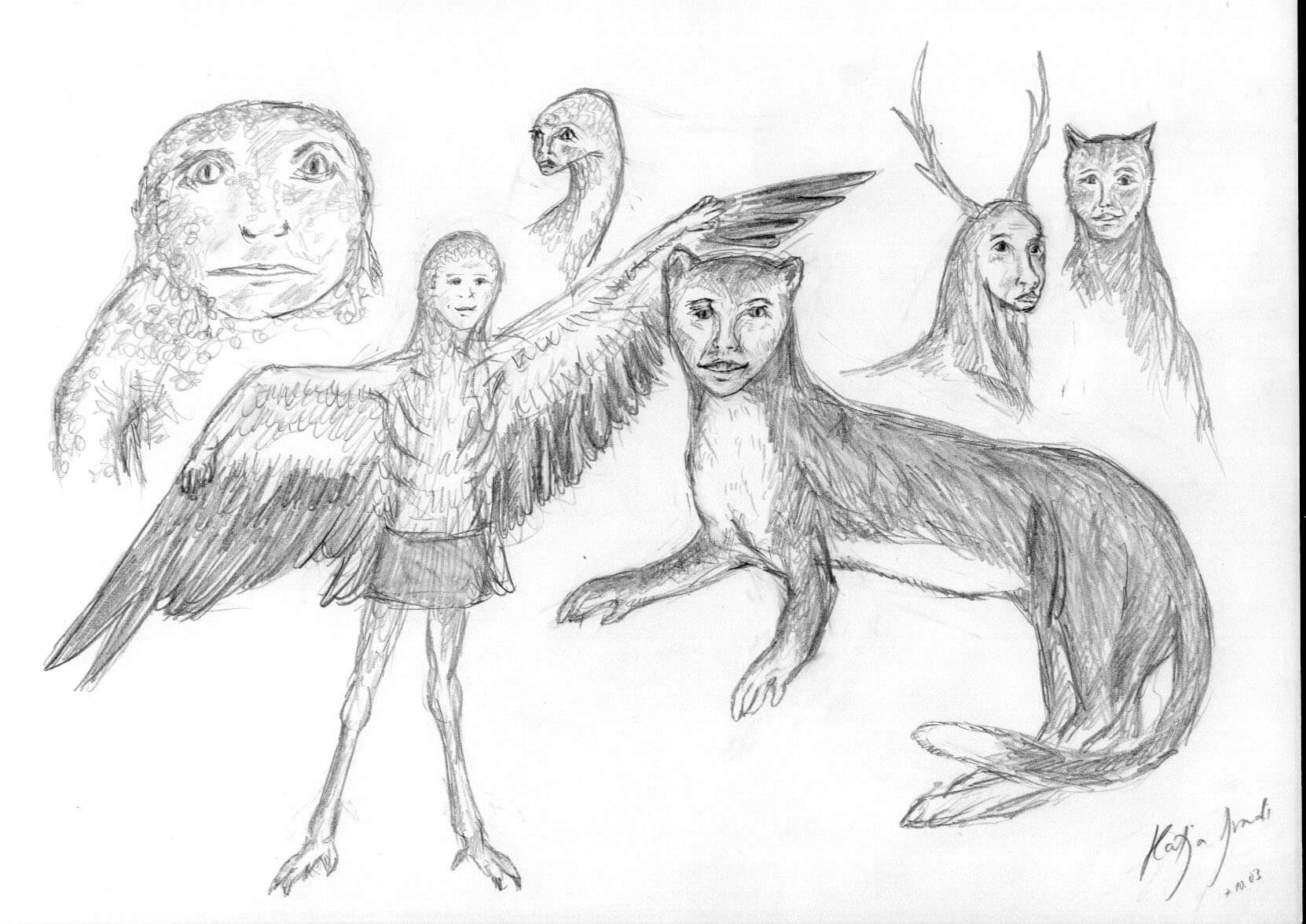 Daresh in Bildern - meine Zeichnungen | Katja Brandis